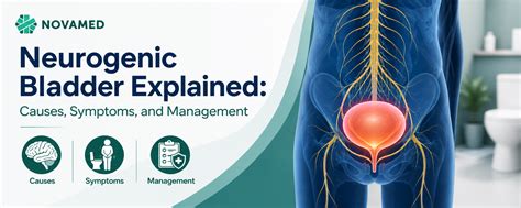 Neurogenic Bladder Causes Symptoms And Management