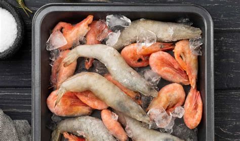 Seafood Processing Equipment Enhancing Industry Standards