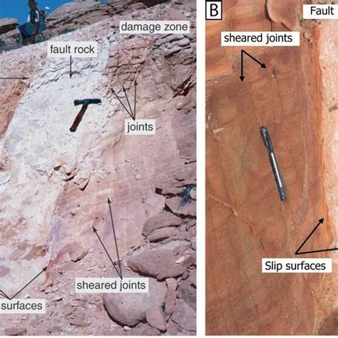4 A Photograph Of The Characteristic Structural Features Of The