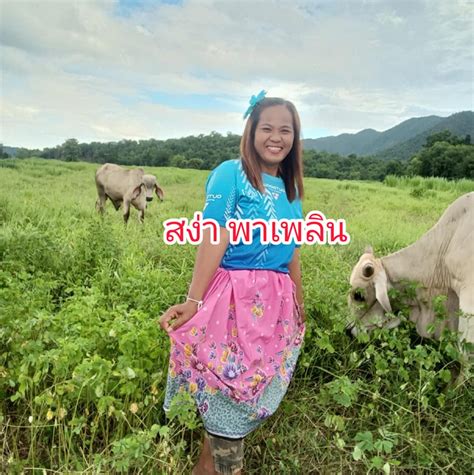 นอนเล่นกับลูกเต่ามาจากไหน ตลกขำๆ ตลกฮาๆ คลิปตลกเพื่อความบันเทิง