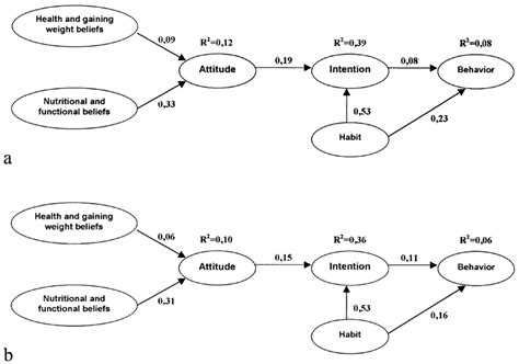 path diagram of the regression models showing the standardised