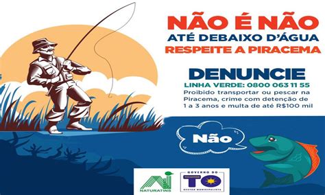 Período de Piracema continua até dia de fevereiro no Tocantins Voz do Bico