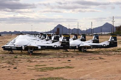 El Gato Del Trastero Cementerio De Aviones En Tucson Arizona