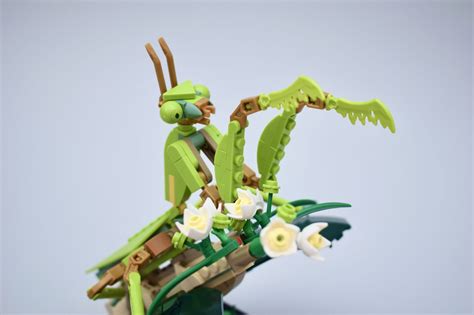 Lego Ideas 21342 The Insect Collection Review