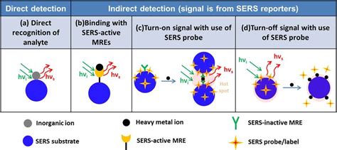 Illustration Of Different Sers Sensor Design Strategies For Inorganic Download Scientific