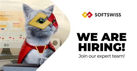 It Jobs In Poland Remote Vacancies In It And Software Softswiss Careers