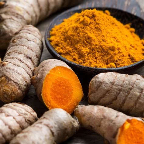 How To Grow Tumeric Edible Jungle Nursery
