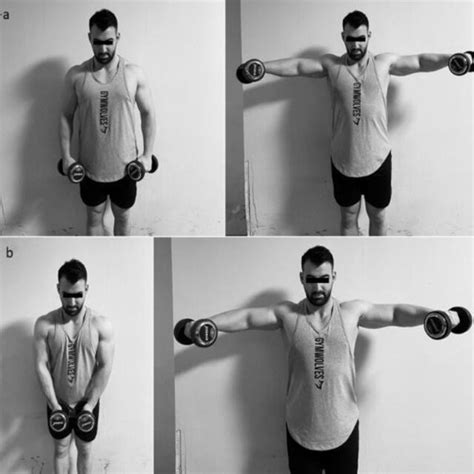 Rom Variation For Dumbell Lateral Rise A Limited Rom Ltd B Full