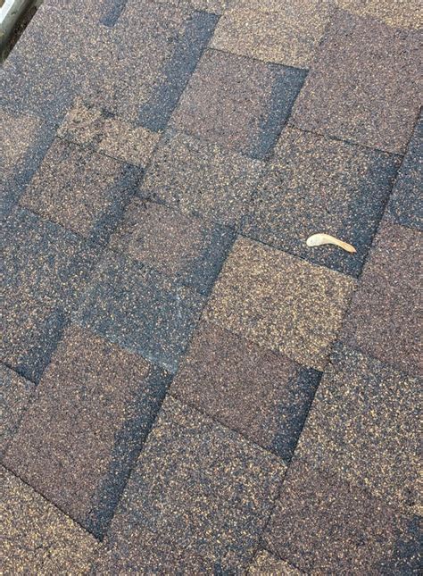 New Roof Questions About Exposed Nails Shingle Quality And Chimney