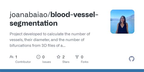 GitHub Joanabaiao Blood Vessel Segmentation Project Developed To Calculate The Number Of