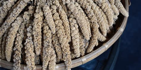 Kauni Seed Online Purchase