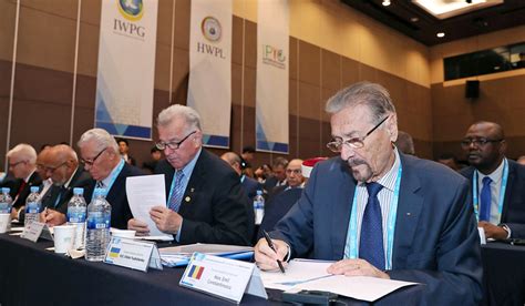 Dpcw의 Un 상정을 위한 국제 콘퍼런스 Hwpl