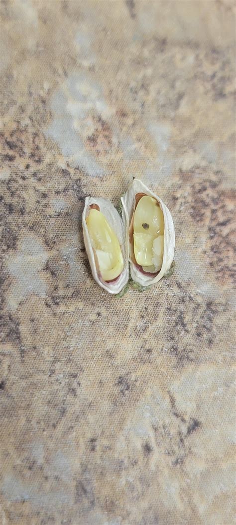 Just Found This Inside A Nug The Nug Broke Off While Drying Any