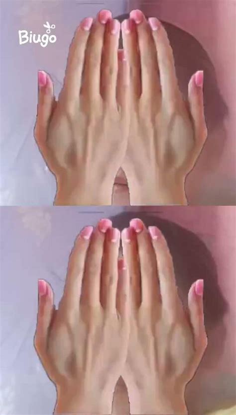 Menu At Sumo Biscuits Hyderabad