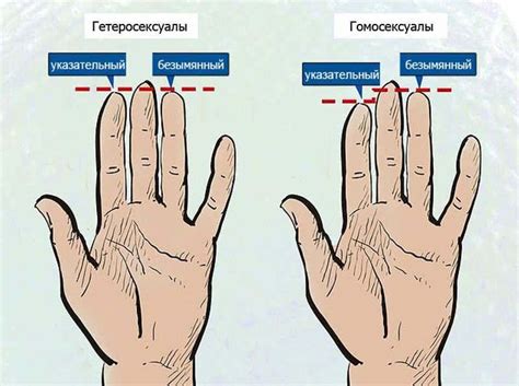 Длина этих двух пальцев на руке говорит о вашей сексуальной ориентации