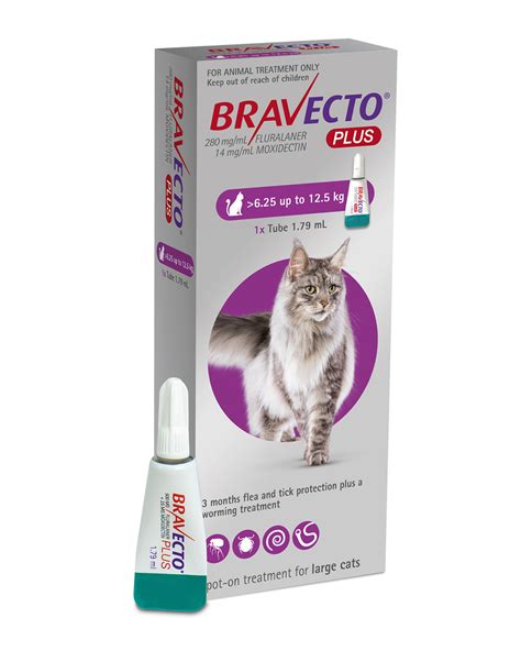 Bravecto Plus For Cats Canterbury Vets Ltd