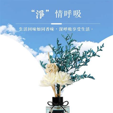 Amywo 艾美窩 室內擴香瓶 香氛擴香瓶ih 06208 乾燥花擴香瓶 擴香棒瓶 居家 香氛瓶 芳香劑 擴香瓶 空氣清新 香氛擴香