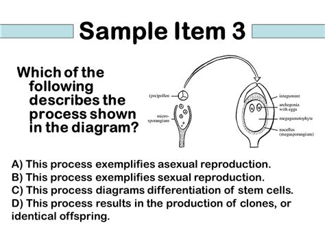 What Is The Name Of The Process Shown In The Diagram Wiring Site Resource