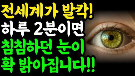 의사들을 발칵 뒤집은 기적의 눈 건강법 이것을 매일 먹으세요 침침하던 눈이 확 밝아집니다 책 읽어주는여자