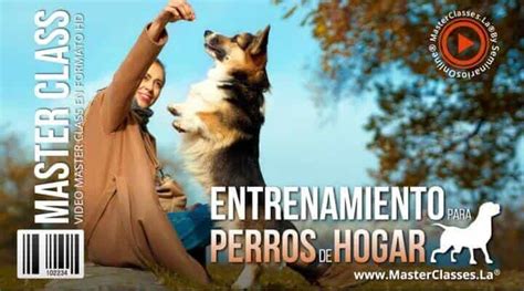 Reseña Del Curso Entrenamiento De Perros En El Hogar