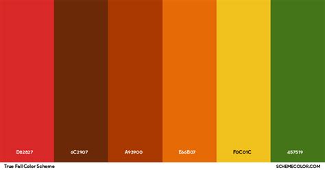 True Fall Color Scheme Palettes SchemeColor Com True Fall Color Scheme Palettes SchemeColor Com
