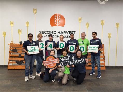 Netscoutlife Netscout