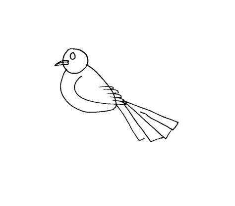 Sparrow Step By Step Drawing Tutorial K Craft