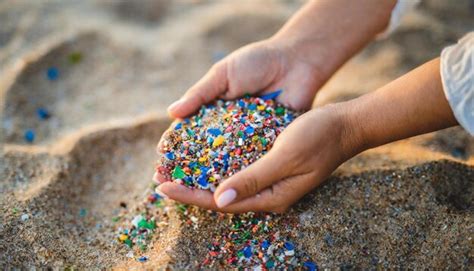 Premium Photo Collecting Microplastics From Sandy Beach Symbolizing