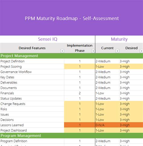 Template Ppm Maturity Roadmap Self Assessment Excel Sensei