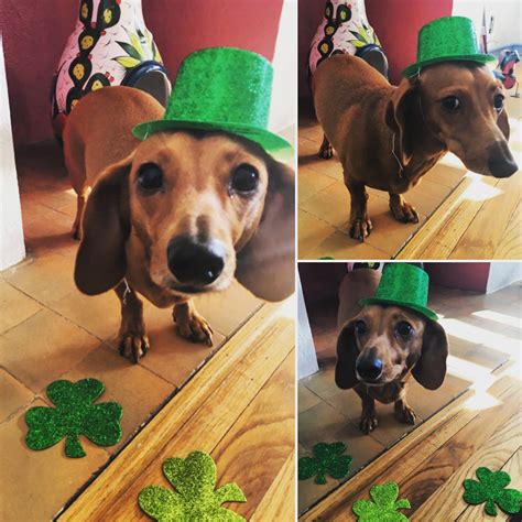 Kiss Me Im Irish Album On Imgur