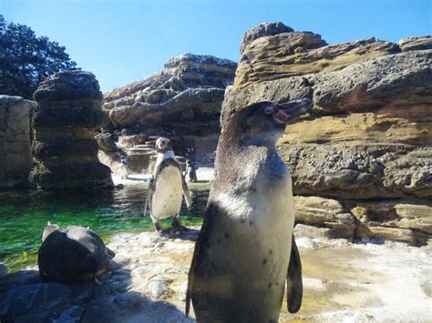 Spiceworks Community Digest Better Living Through Linux Spiceworks