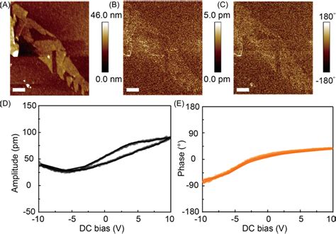 Piezoelectric Force Microscopy Pfm Study Of 3r‐stacked Mos2 Ultrathin