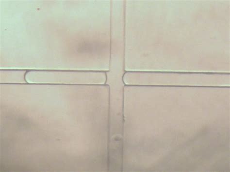 Self Droplet Detection Object Detection Dataset By Droplet