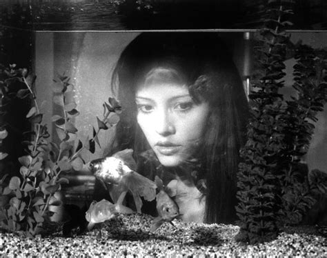 Barbara Carrera Actress Model