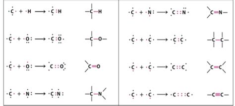Unit 1 Exam 1 Biochem Flashcards Quizlet