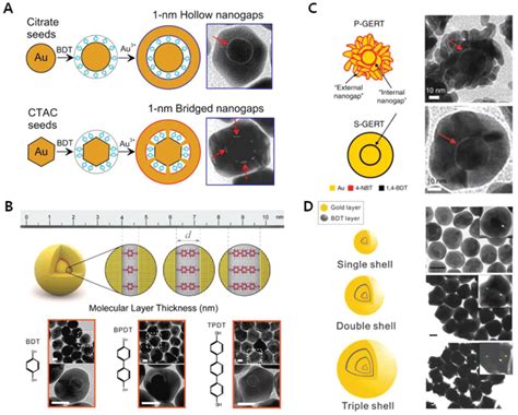 Core Gold Nanoparticle Modified By Small Molecules For The Synthesis Of Download Scientific