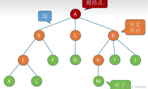二叉树及其相关例题二叉树的节点问题题目 Csdn博客