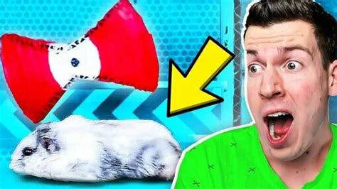 Сможет ли хомячок пройти до конца Смотреть онлайн в поиске Яндекса по Видео