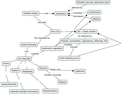 Pbl 2 Y1 2013 Concept Map Cardio