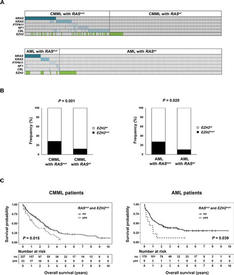 association between mutations modifying ras and ezh2 aberrations in