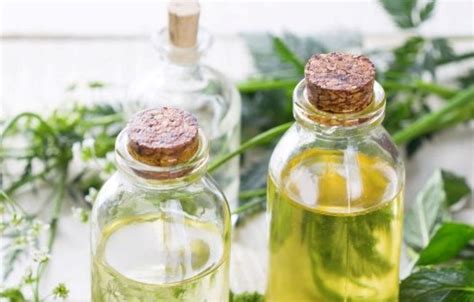 How To Setup Memory Database Test With Pytest And Sqlalchemy By Johni Douglas Marangon Medium