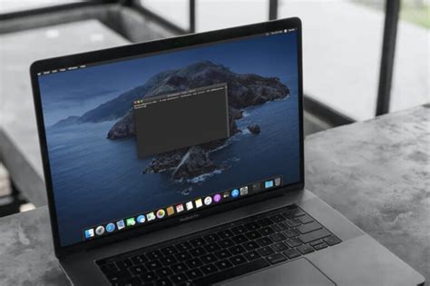 How To Flush DNS Cache In MacOS Catalina Big Sur