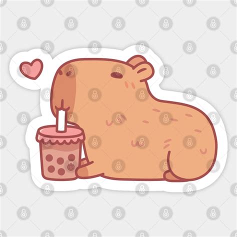 Cute Capybara Chilling With Bubble Tea Cute Capybara Sticker
