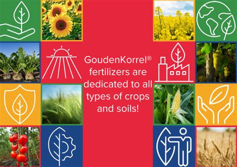 Polyhalite Goudenkorrel Mineral Fertilisers