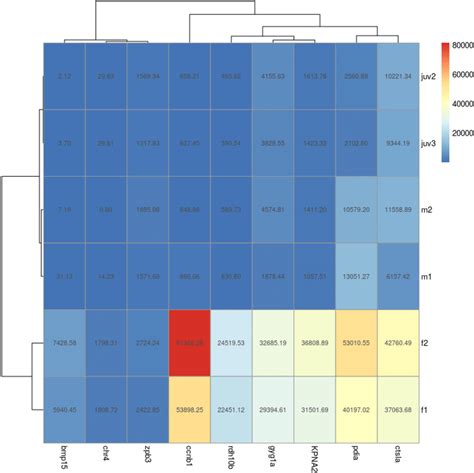 Heat Map Showing The Relative Expression Of Nine Female Genes Selected Download Scientific
