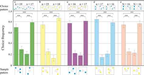 Results Of Transfer Tests With Various Pattern Configurations The Download Scientific Diagram