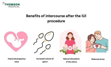 Is It Safe To Have Sex After Iui Thomson Medical