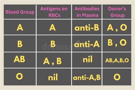 Corresponding Antigen Stock Illustrations 2 Corresponding Antigen