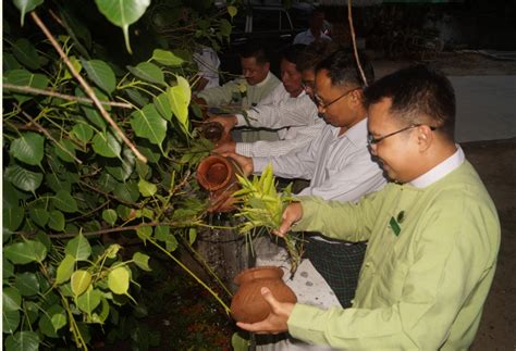 ဆိပ်ဖြူမြို့နယ်တွင် ကဆုန်လပြည့် ဗုဒ္ဓနေ့ ညောင်ရေသွန်းလောင်းပူဇော်ပွဲက