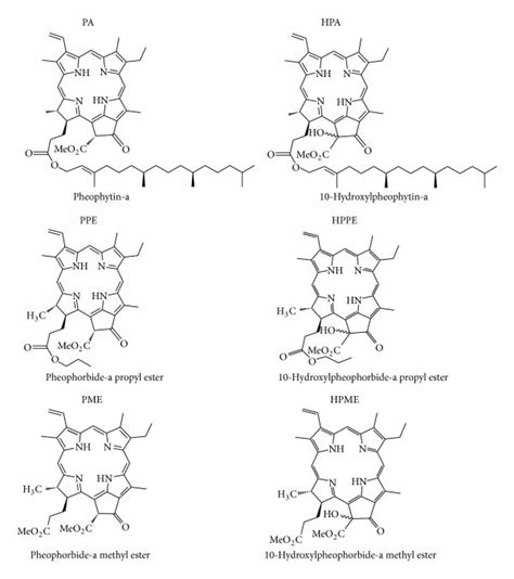 Molecular Structures Of Pheophorbide A Derivatives Pads Download Scientific Diagram